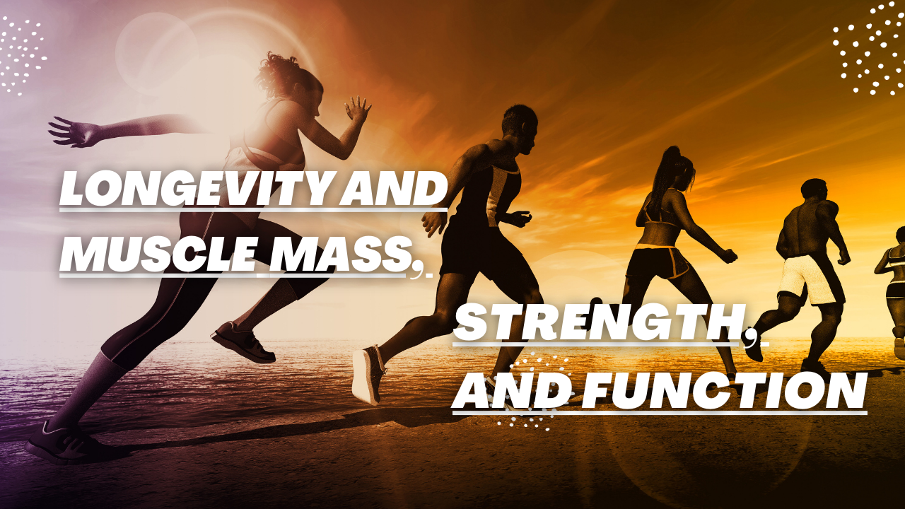 Longevity and Muscle Mass, Strength and Function – NEWLIVING.ID