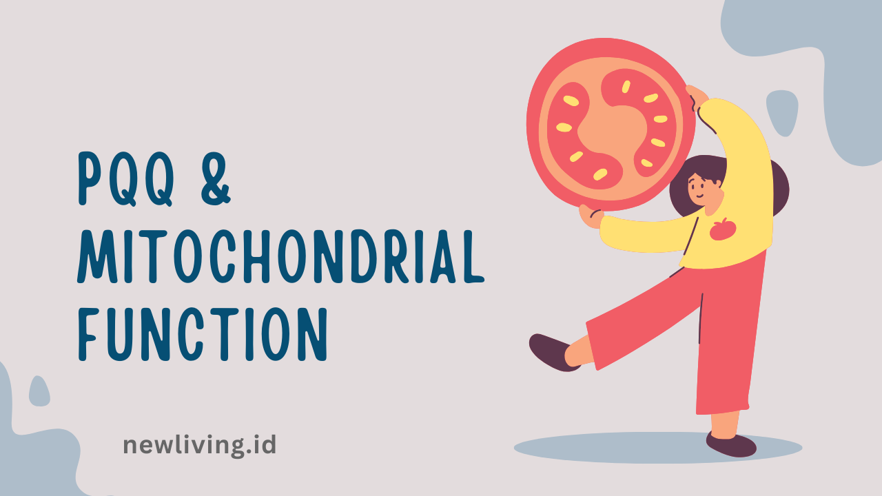 PQQ and Mitochondrial Function – NEWLIVING.ID