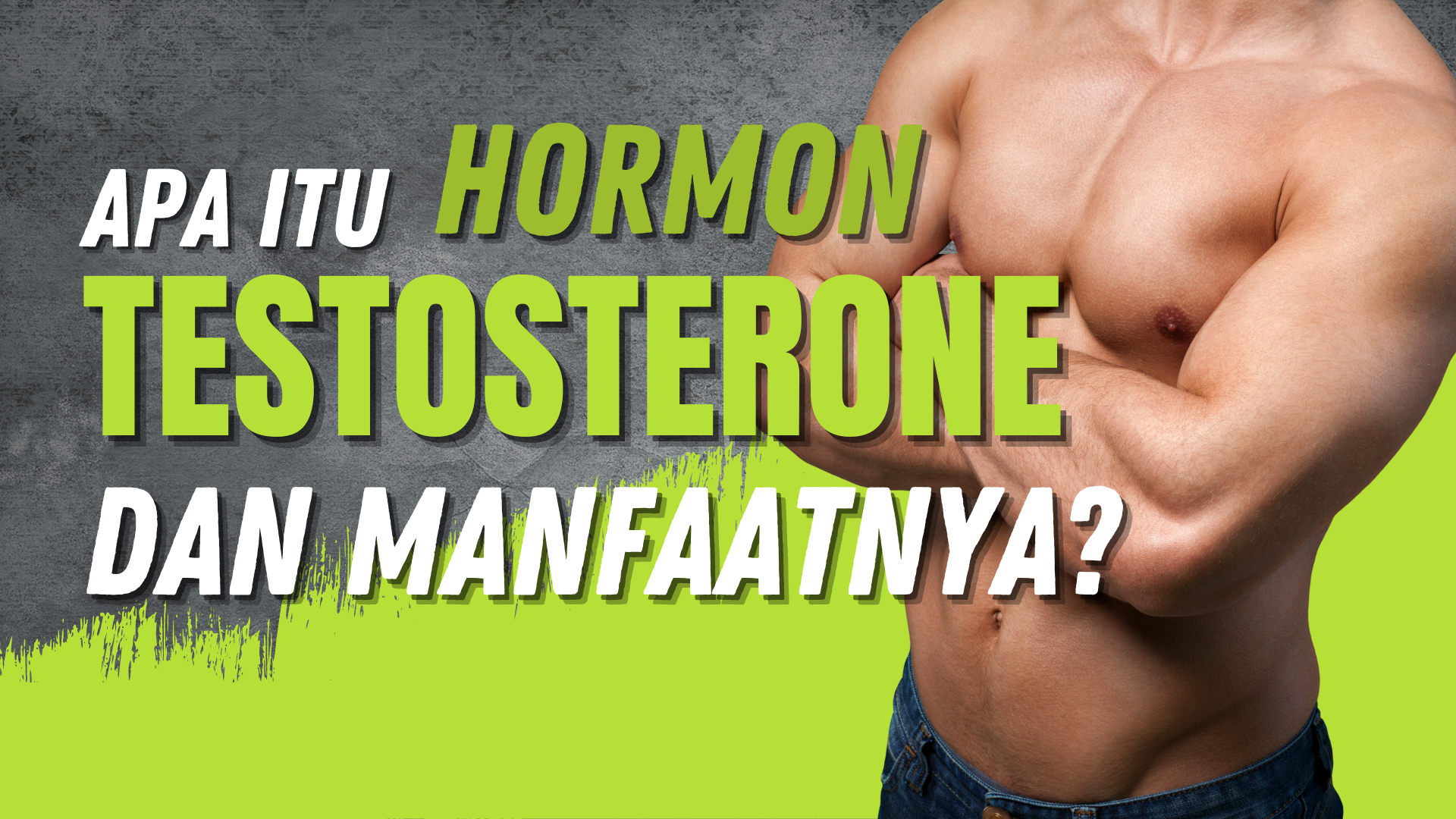 APA ITU TESTESTERONE DAN MANFAATNYA BAGI PRIA? – NEWLIVING.ID