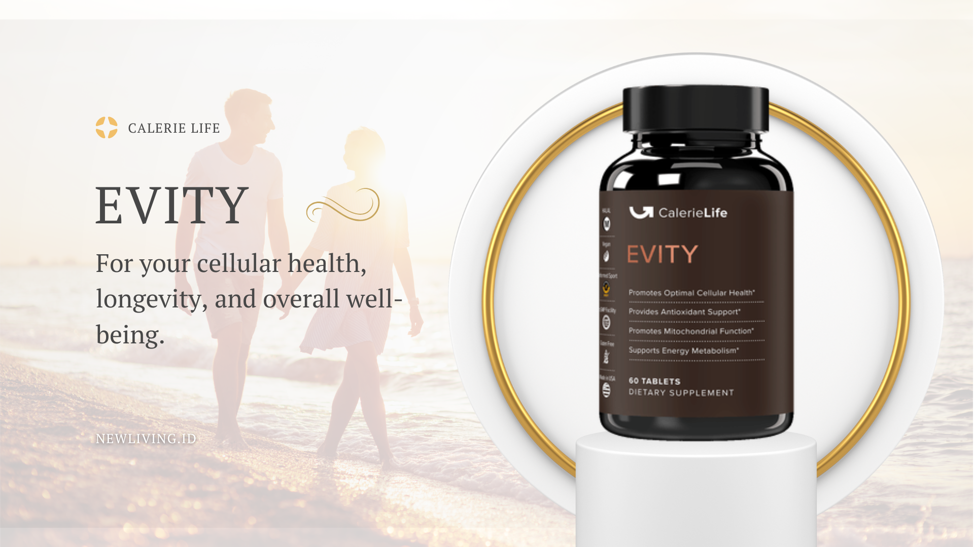 Calerie EVITY – NEWLIVING.ID