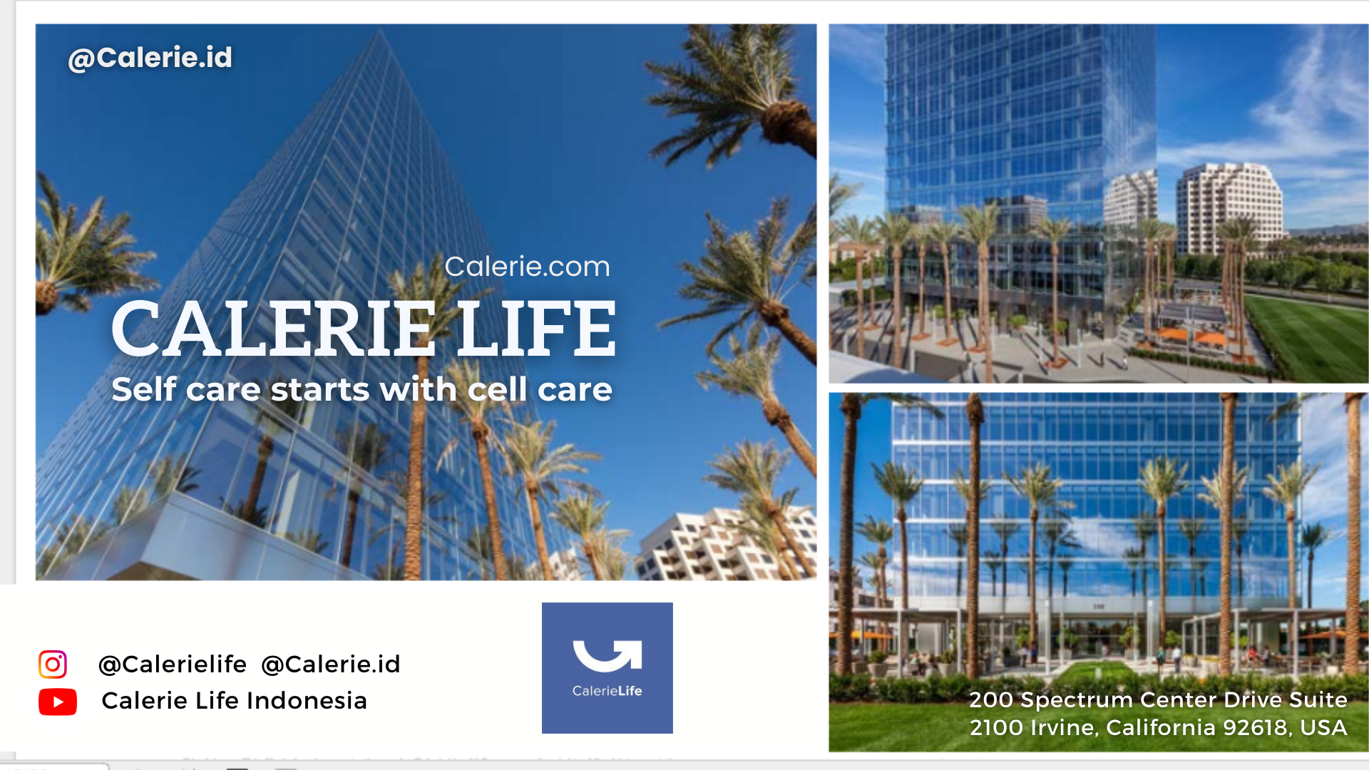 Presentasi Bisnis Calerie Life Indonesia – NEWLIVING.ID